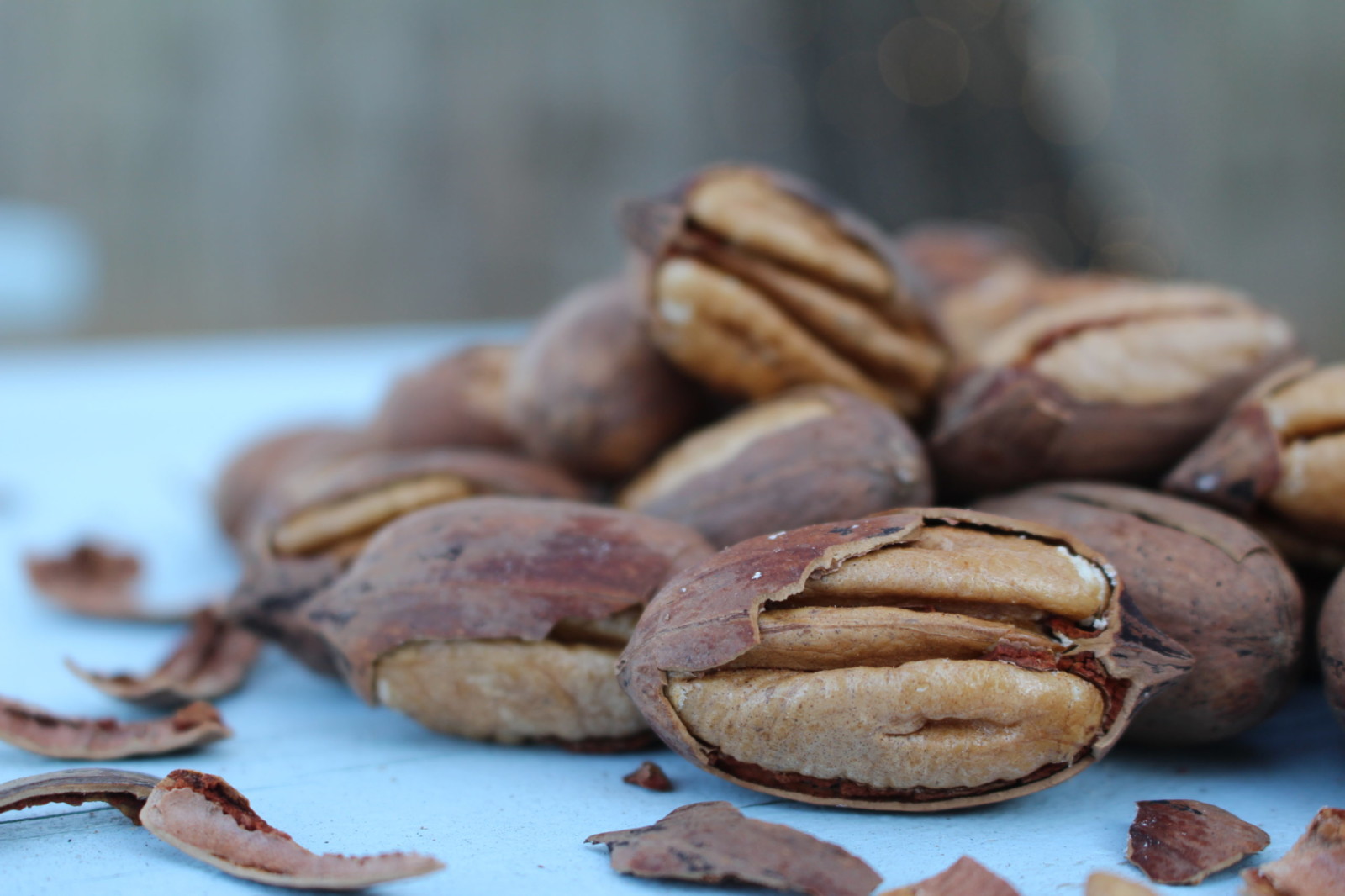 Resilient Texas Pecan Business Is a Family Affair - Reporting Texas ...